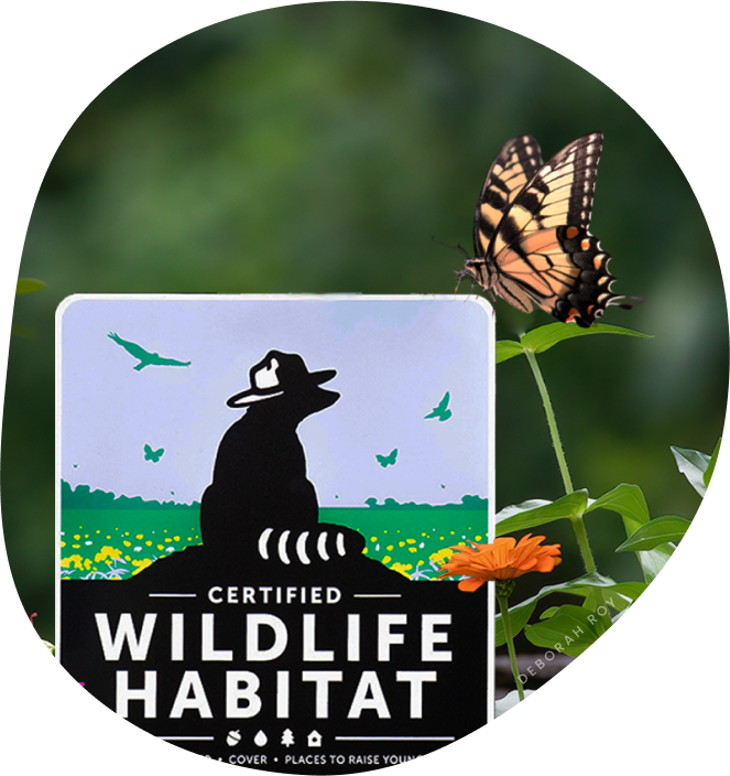 Certified Wildlife Habitats | Garden for Wildlife